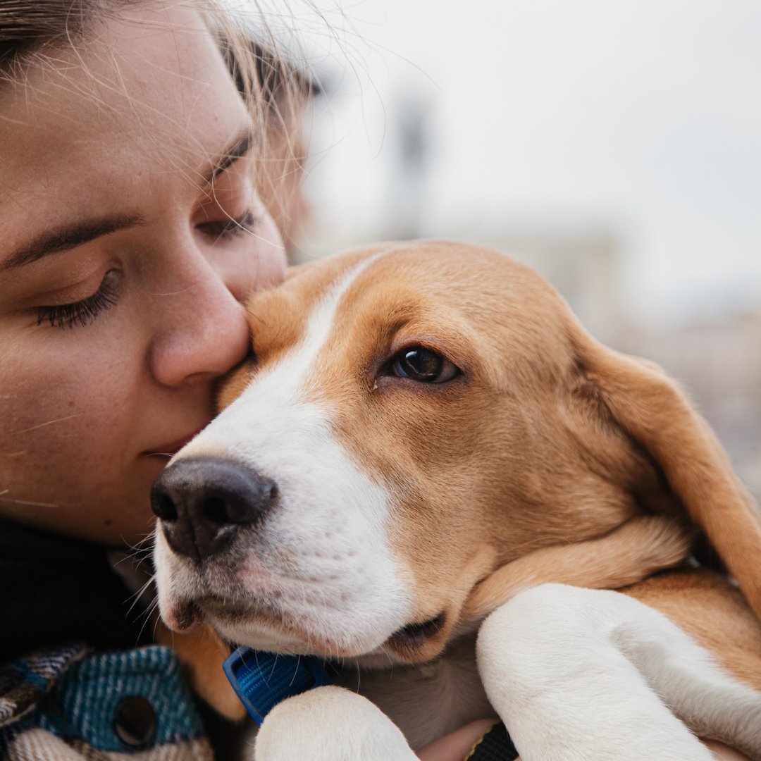 The Pawsitive Impact: How Pets Improve Mental Health and Emotional Wel ...